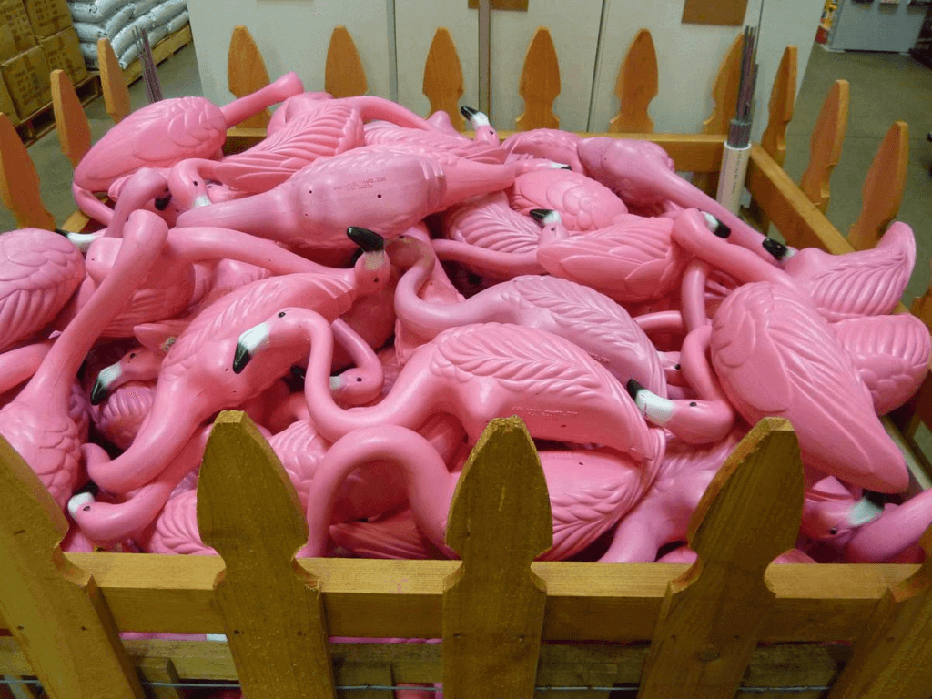 Pink Flamingo Day Sunday June 23rd 2024 
